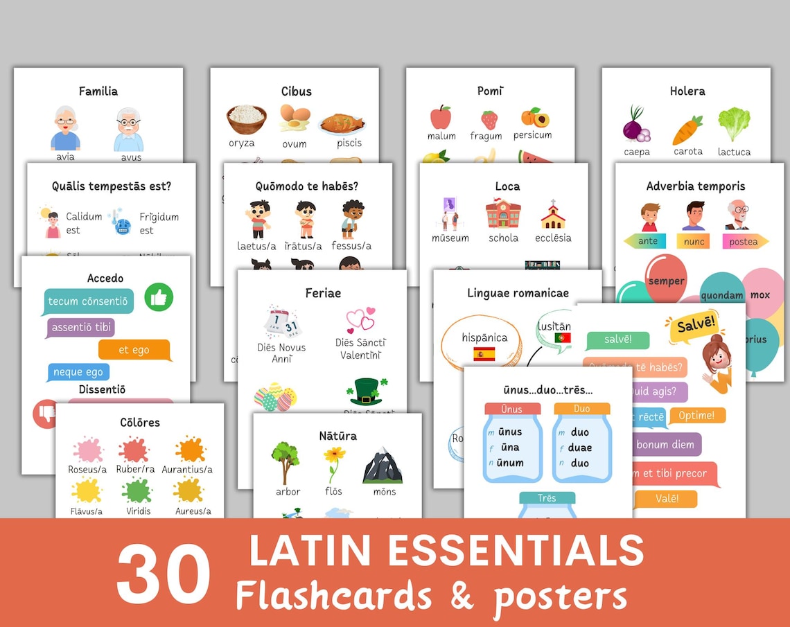Latin Flashcards and Posters, Latin Language Learning, Latin Classroom ...