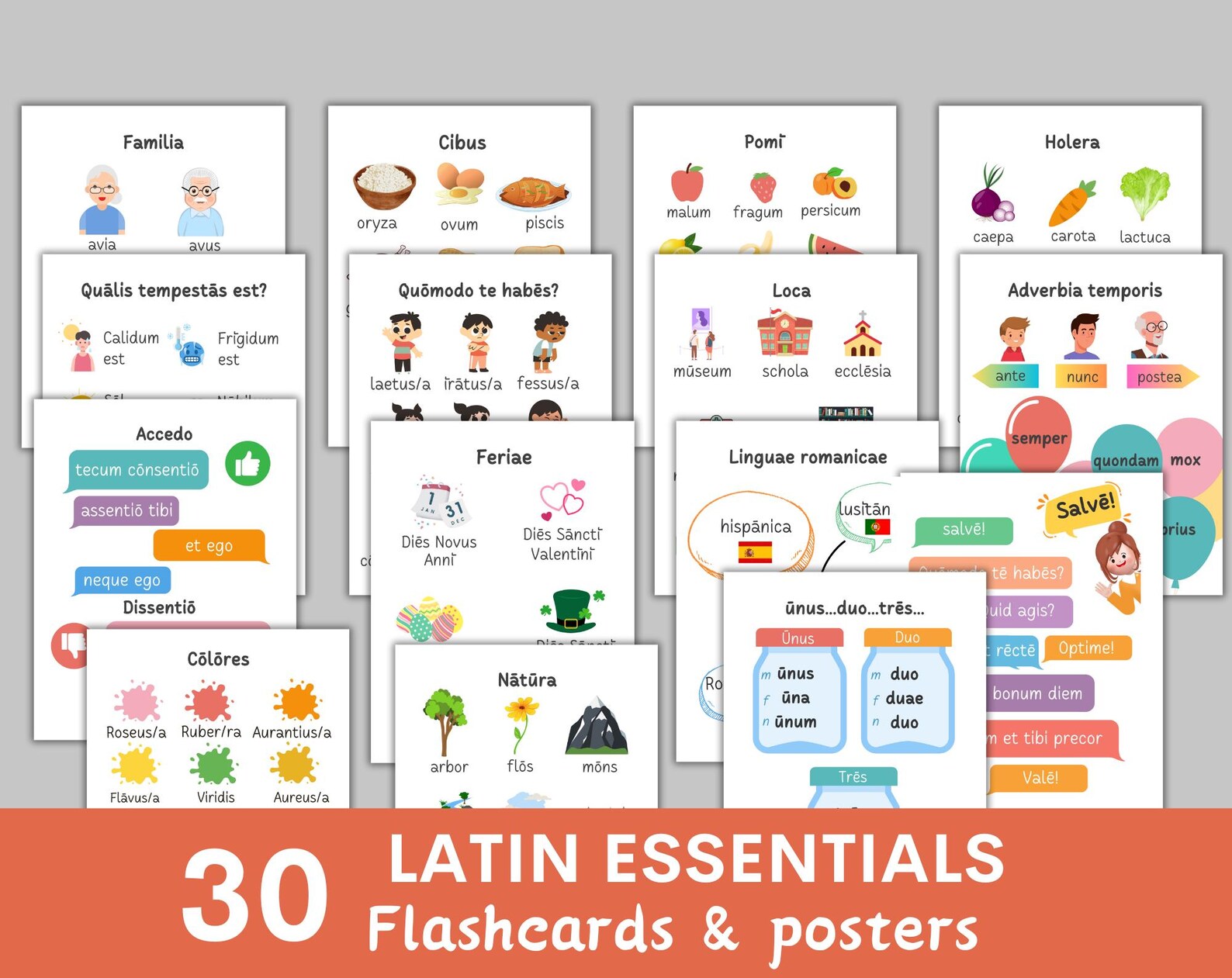 Latin Flashcards and Posters, Latin Language Learning, Latin Classroom ...