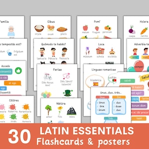 Latin Flashcards and Posters, Latin Language Learning, Latin Classroom ...