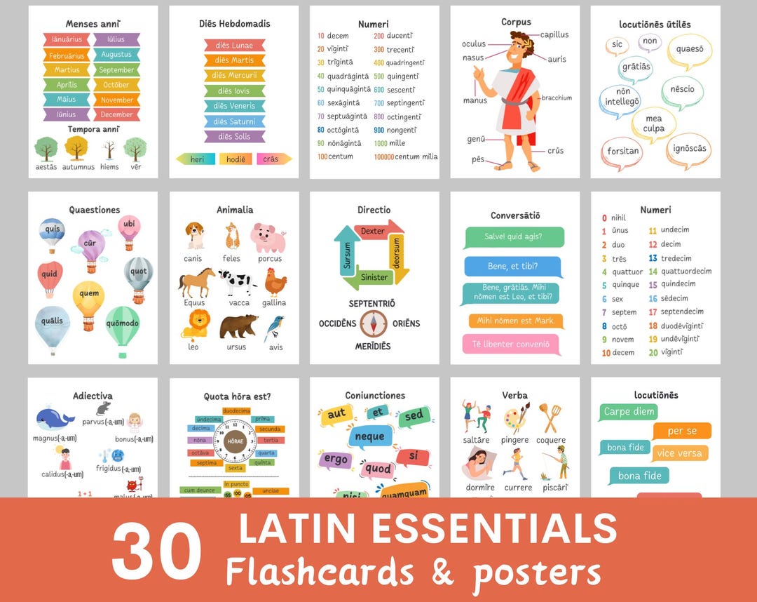 Latin Flashcards and Posters, Latin Language Learning, Latin Classroom ...