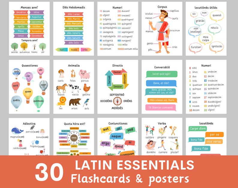 Latin Flashcards and Posters, Latin Language Learning, Latin Classroom ...