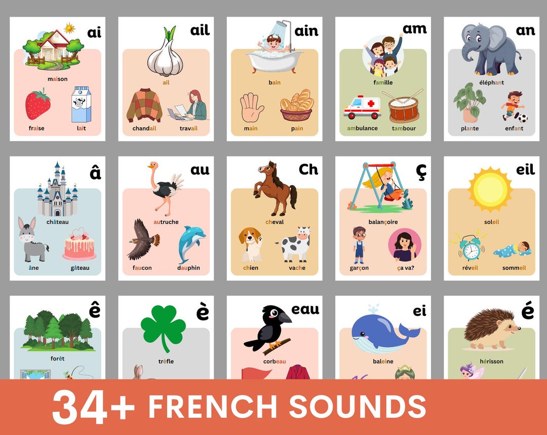 French Sounds Phonics Flashcards, French Classroom, French Phonetics ...