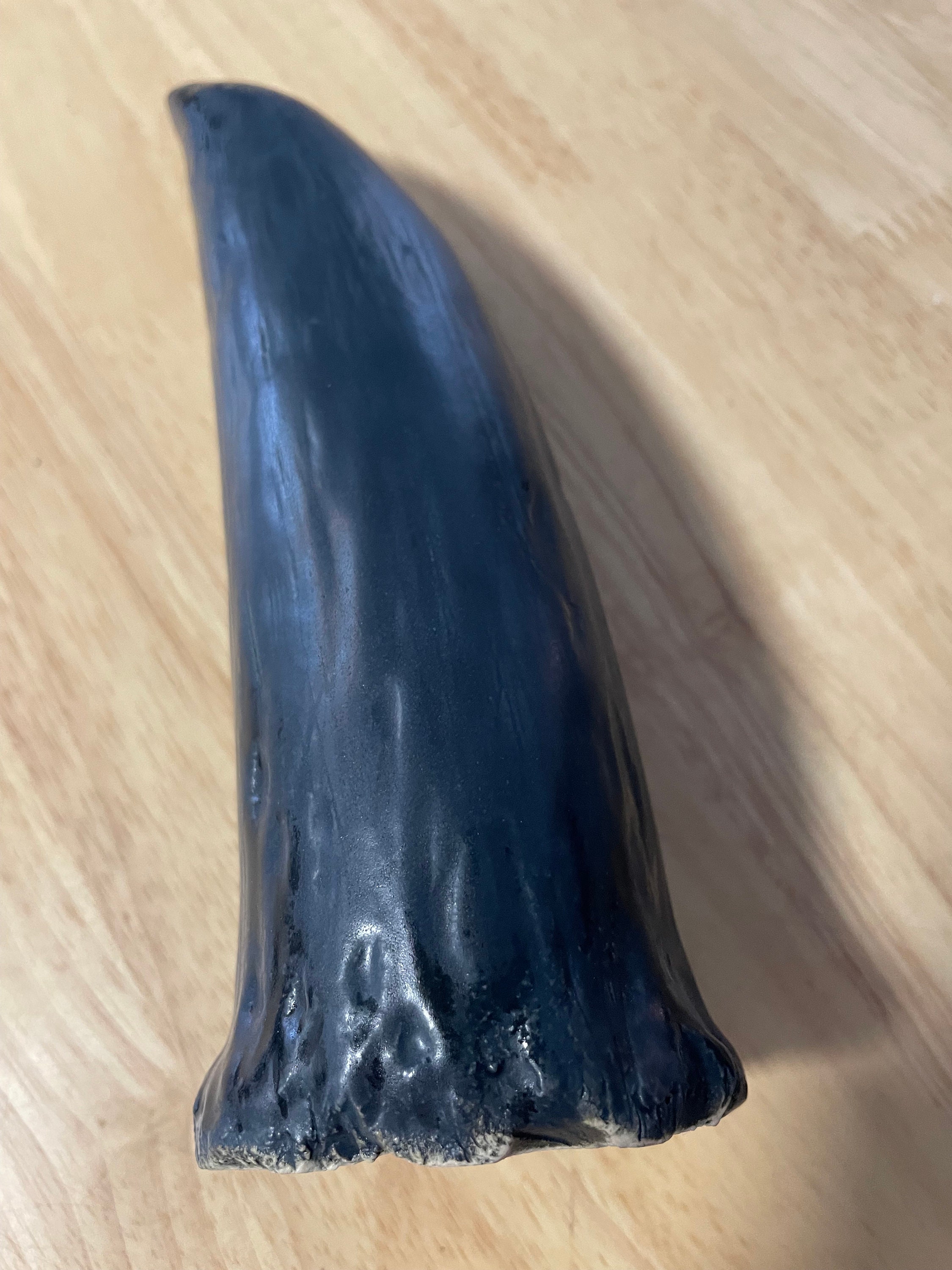 Jurassic Park Indominus Rex Tooth Replica Prop Aged Dark Gray/black - Etsy