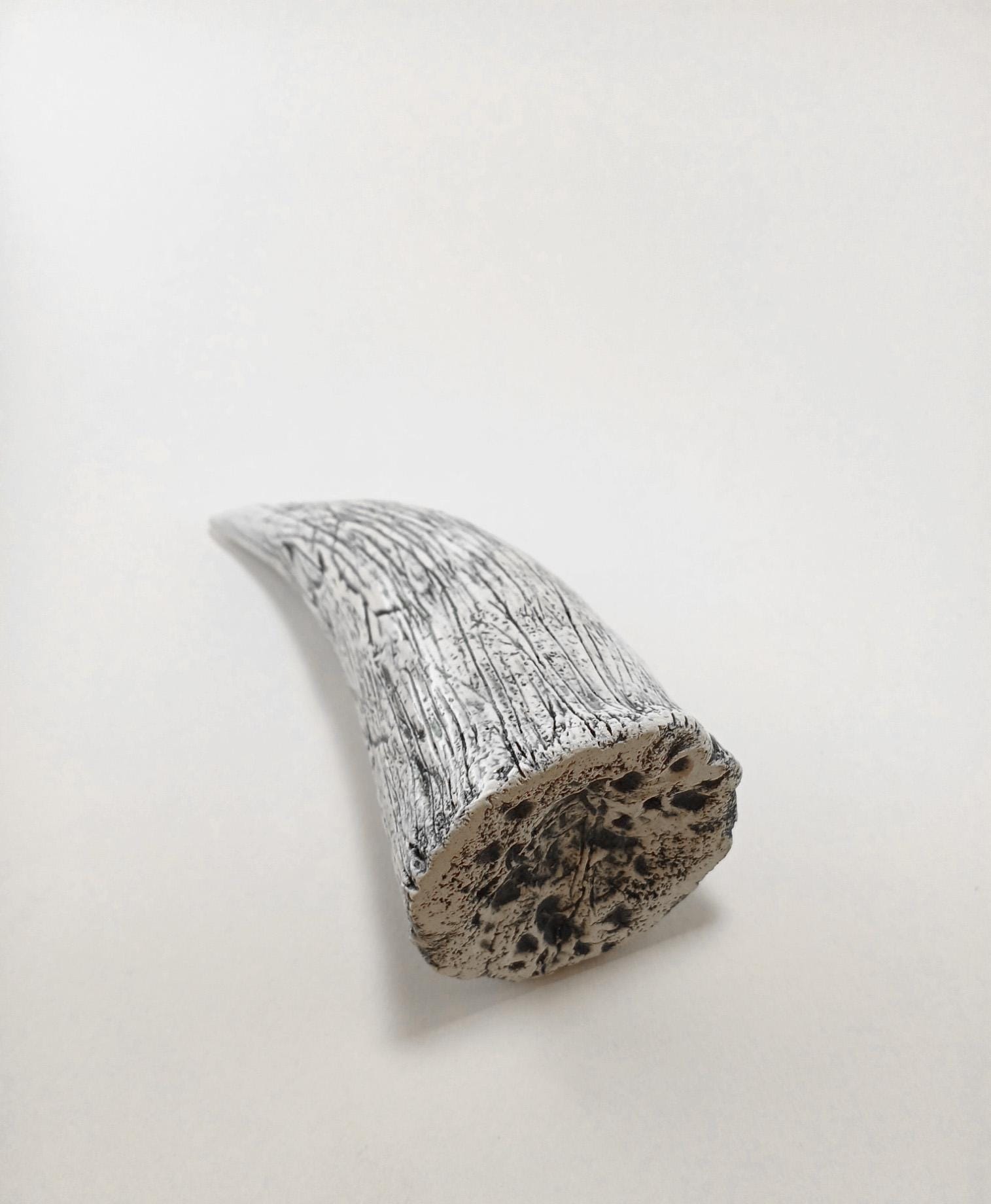 Dinosaur Movie Inspired Indominus Rex Tooth Collectible - Etsy