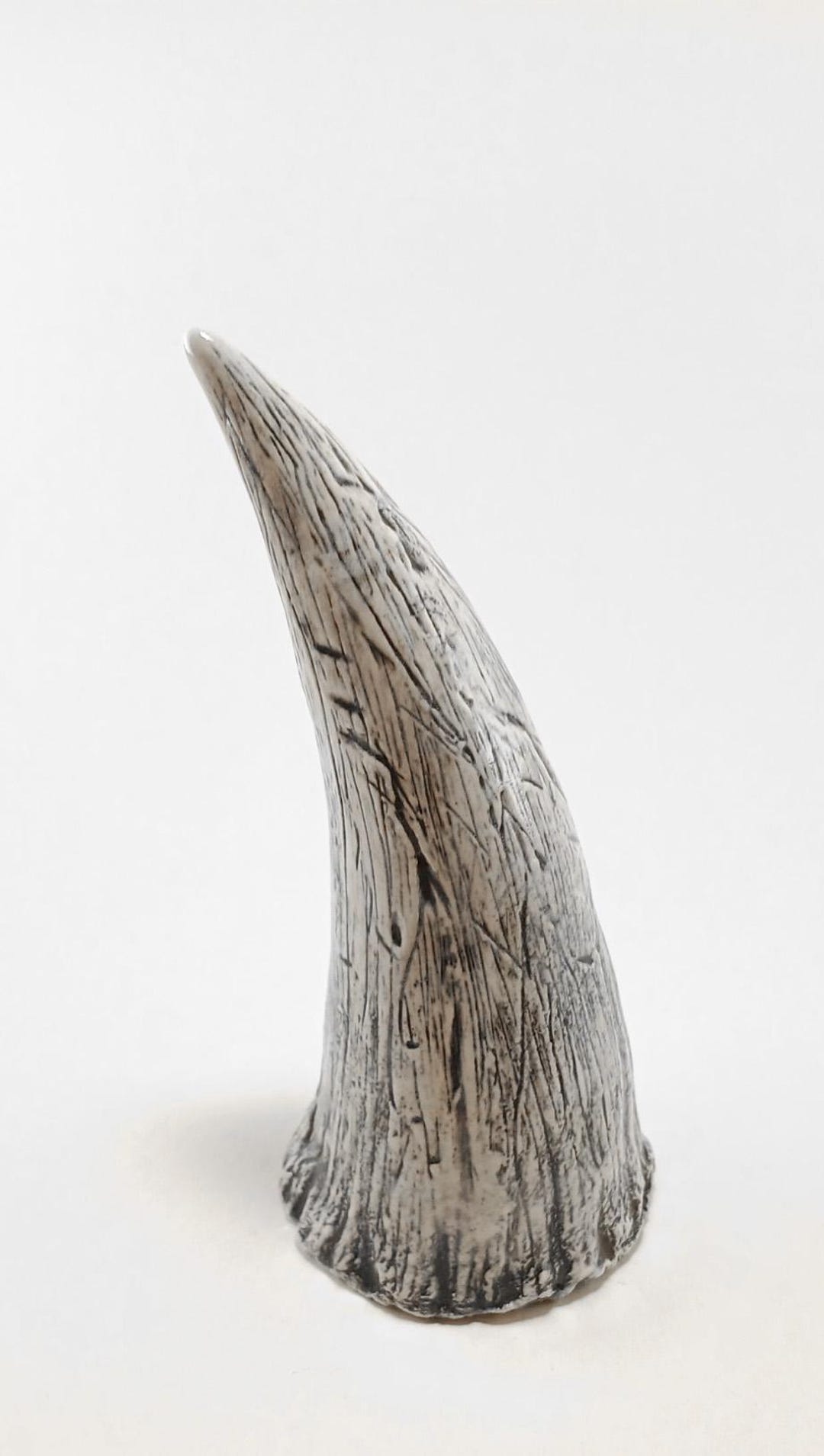 Jurassic Inspired Indominus Rex Tooth Grey/white 5.5 Inches - Etsy