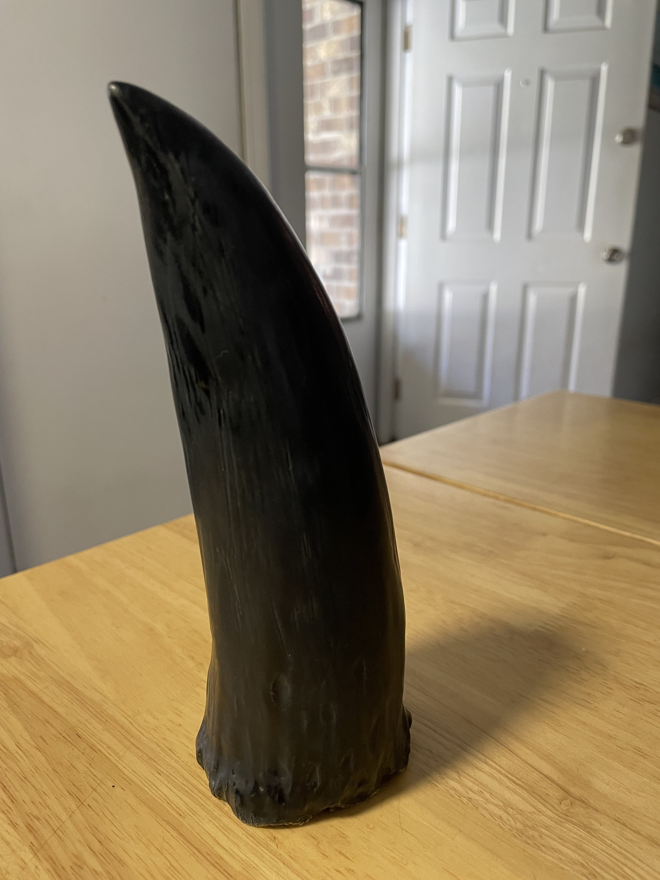 Jurassic Park Indominus Rex Tooth Replica Prop Aged Dark Gray/black - Etsy