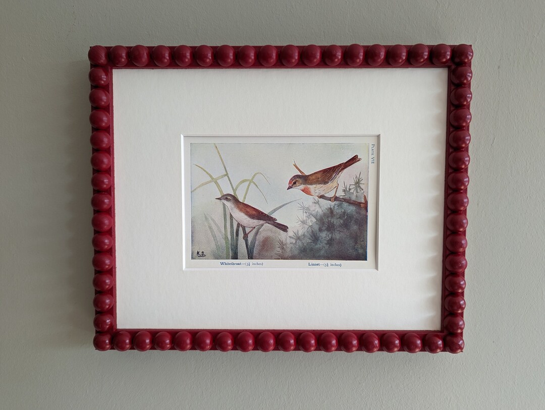 Beautiful Skinny Bobbin Frame Available in Range of Photo and Paper ...