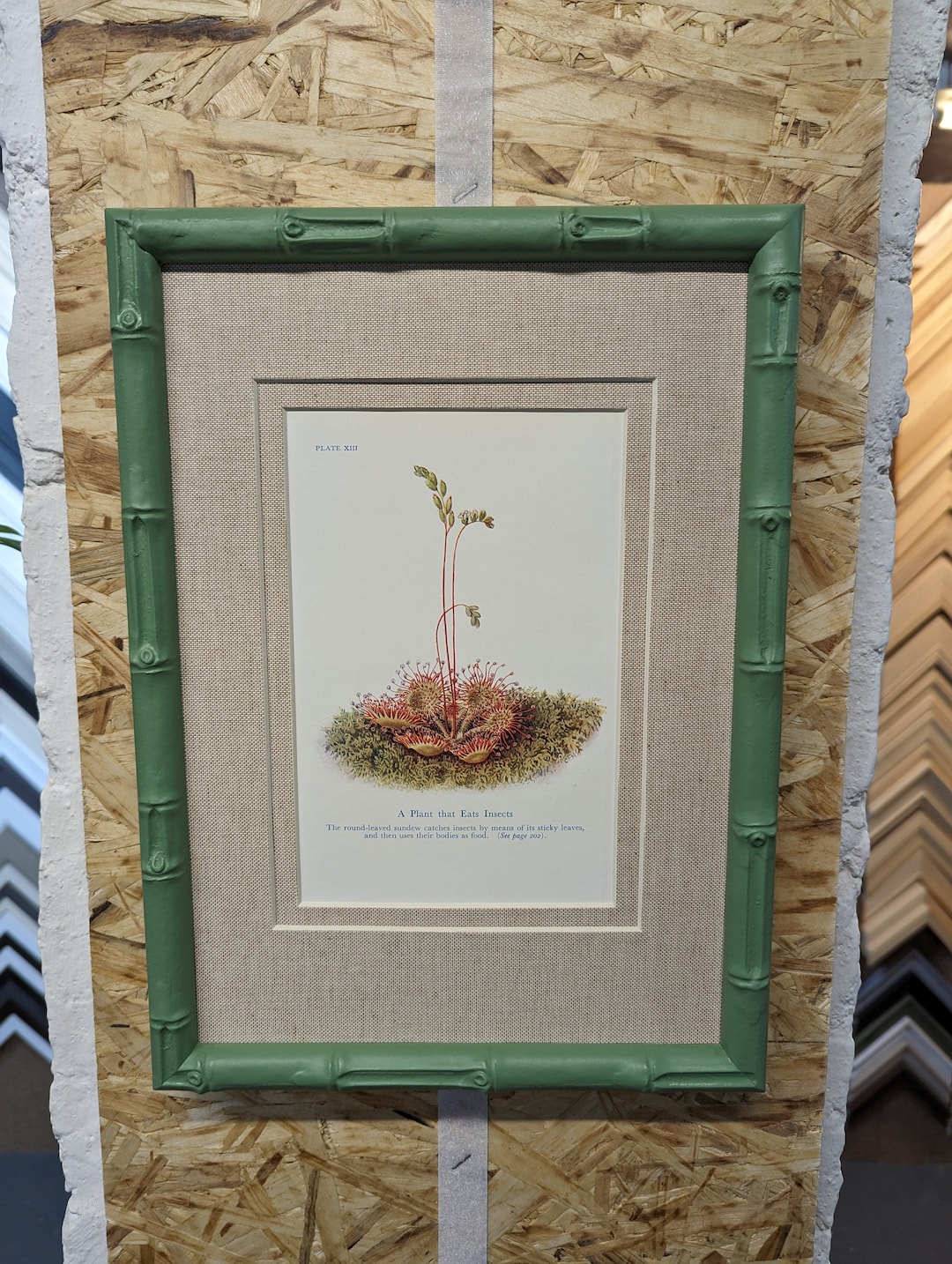 Stunning Bamboo Frame Available in Range of Photo and Paper Sizes and ...