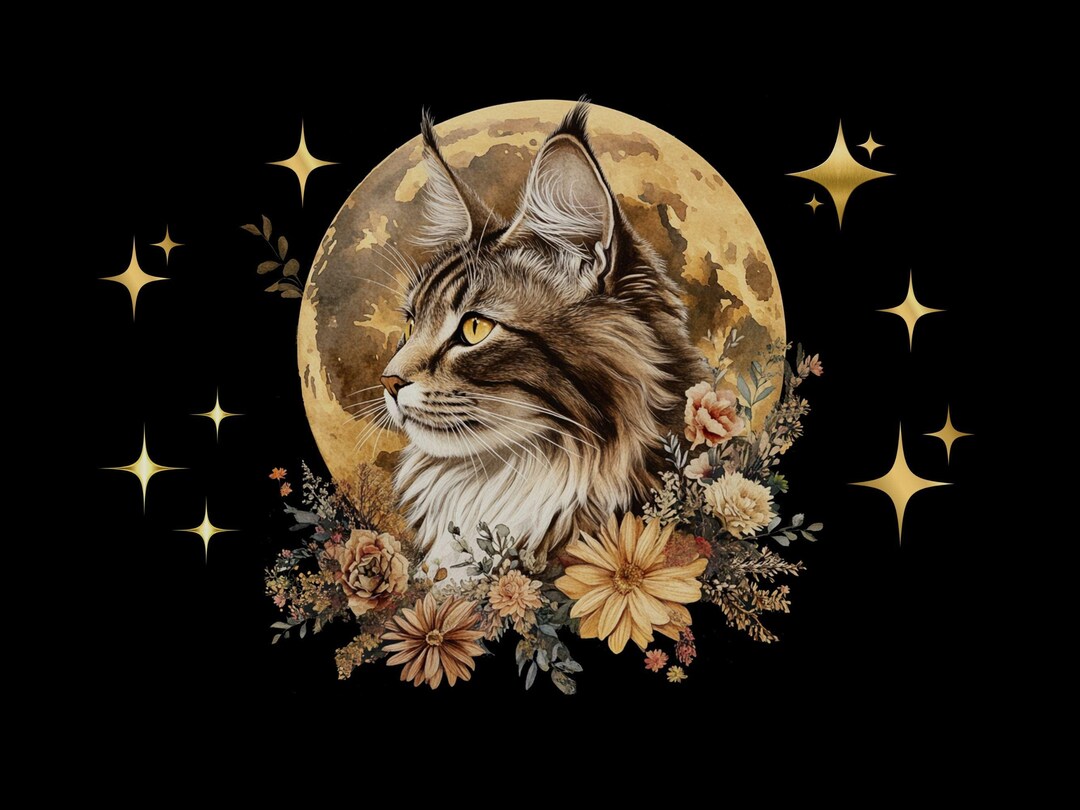 Maine Coon Cat Boho Hoodie, Gildan Sweatshirt, Cat Lover Gift, Soft ...