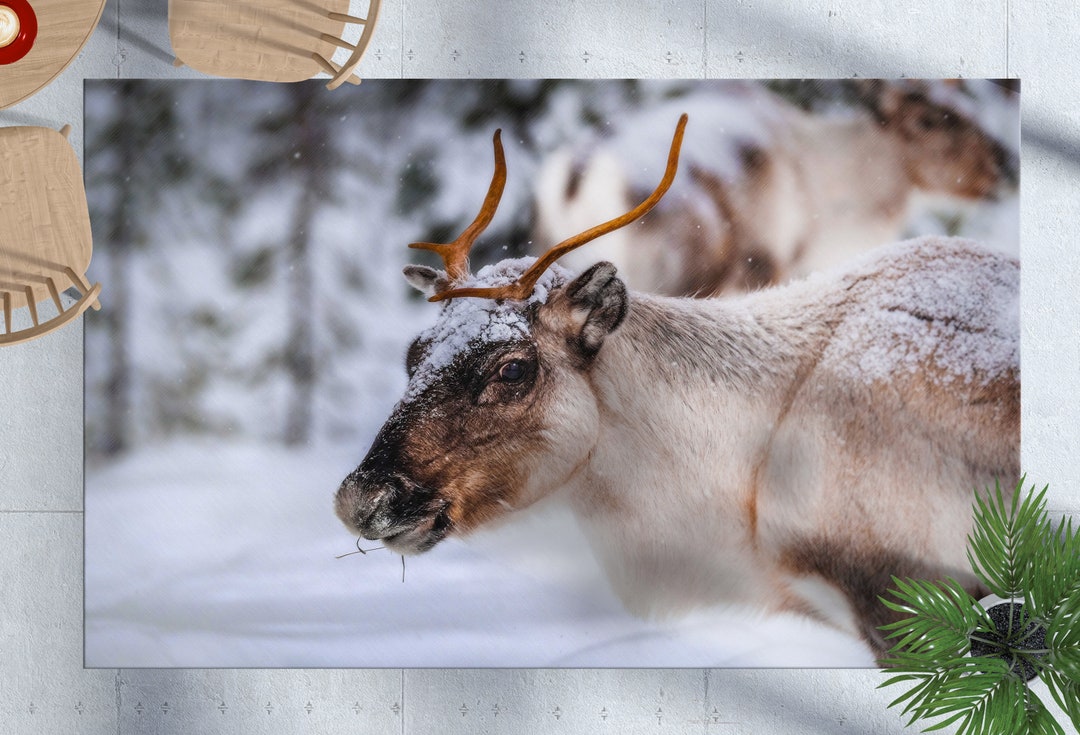 Large Rug, Farmhouse Rug, Office Decor, Non Slip Rug, Deer Rug ...