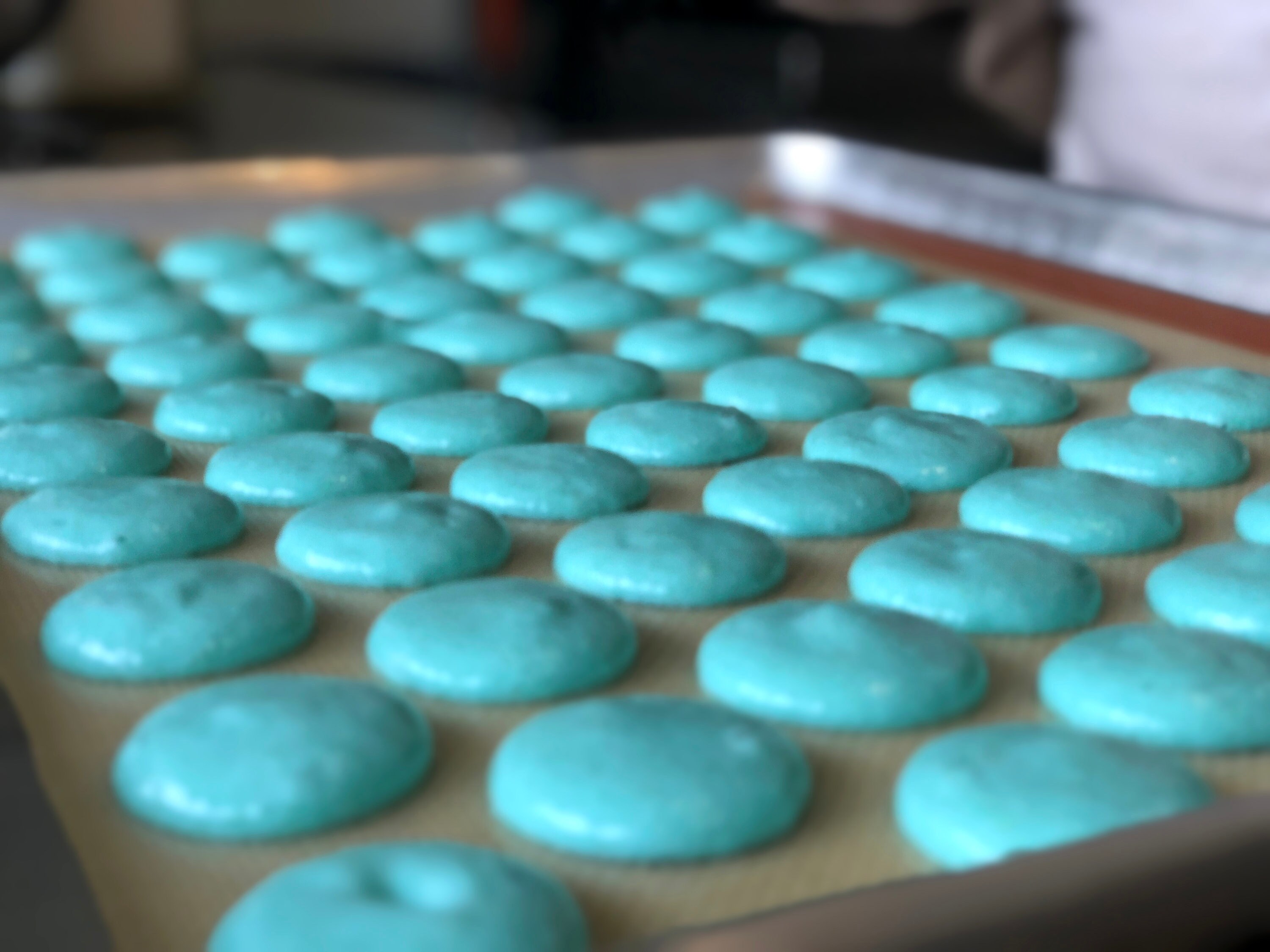 Macarons - Etsy Canada