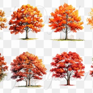 Watercolor Autumn Trees PNG Clipart, Vibrant Tree Design, Fall Clip Art for Invitations, Fall ...