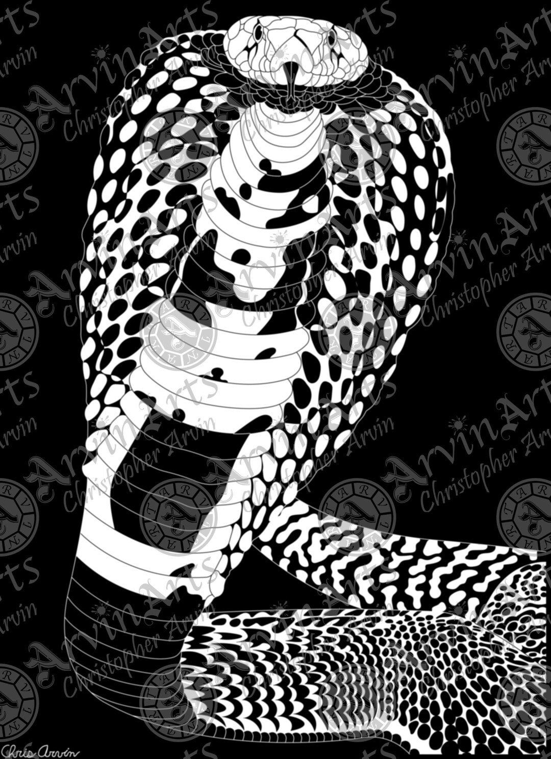 The Tracing Project #2 (indian Cobra) - Etsy