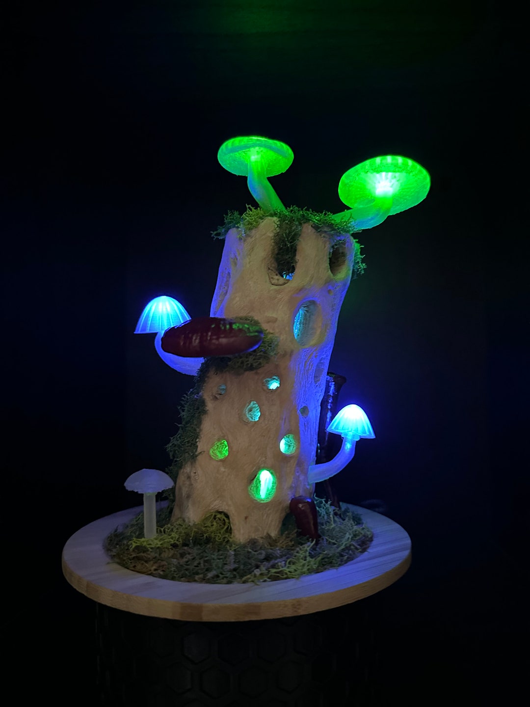 Glowing Blue/green Mushrooms Real Reishi Real Moss Cholla Wood Fantasy ...