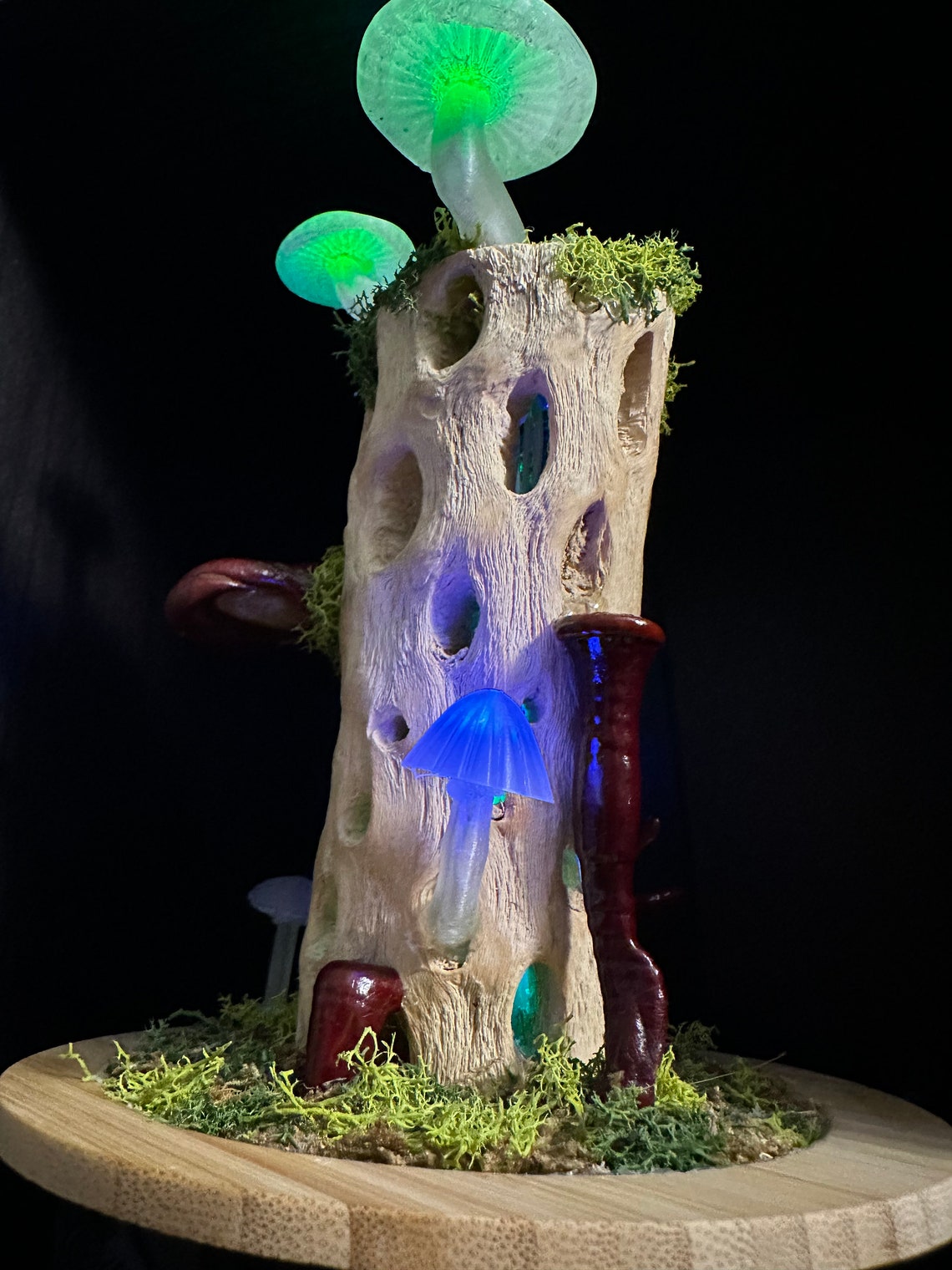 Glowing Blue/green Mushrooms Real Reishi Real Moss Cholla Wood - Etsy