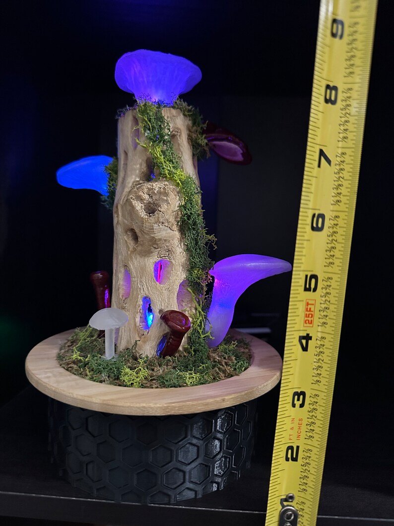 Glowing Blue/pink Mushrooms Real Reishi Real Moss Cholla Wood Fantasy ...