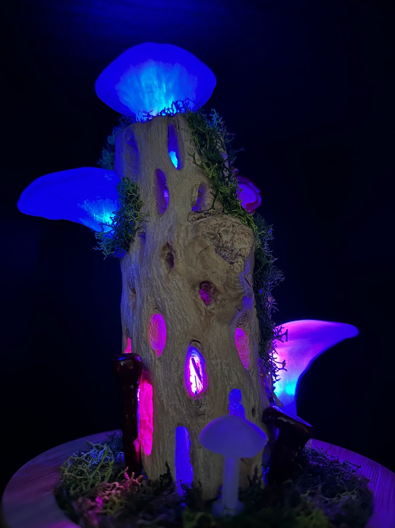 Glowing Blue/pink Mushrooms Real Reishi Real Moss Cholla Wood Fantasy ...