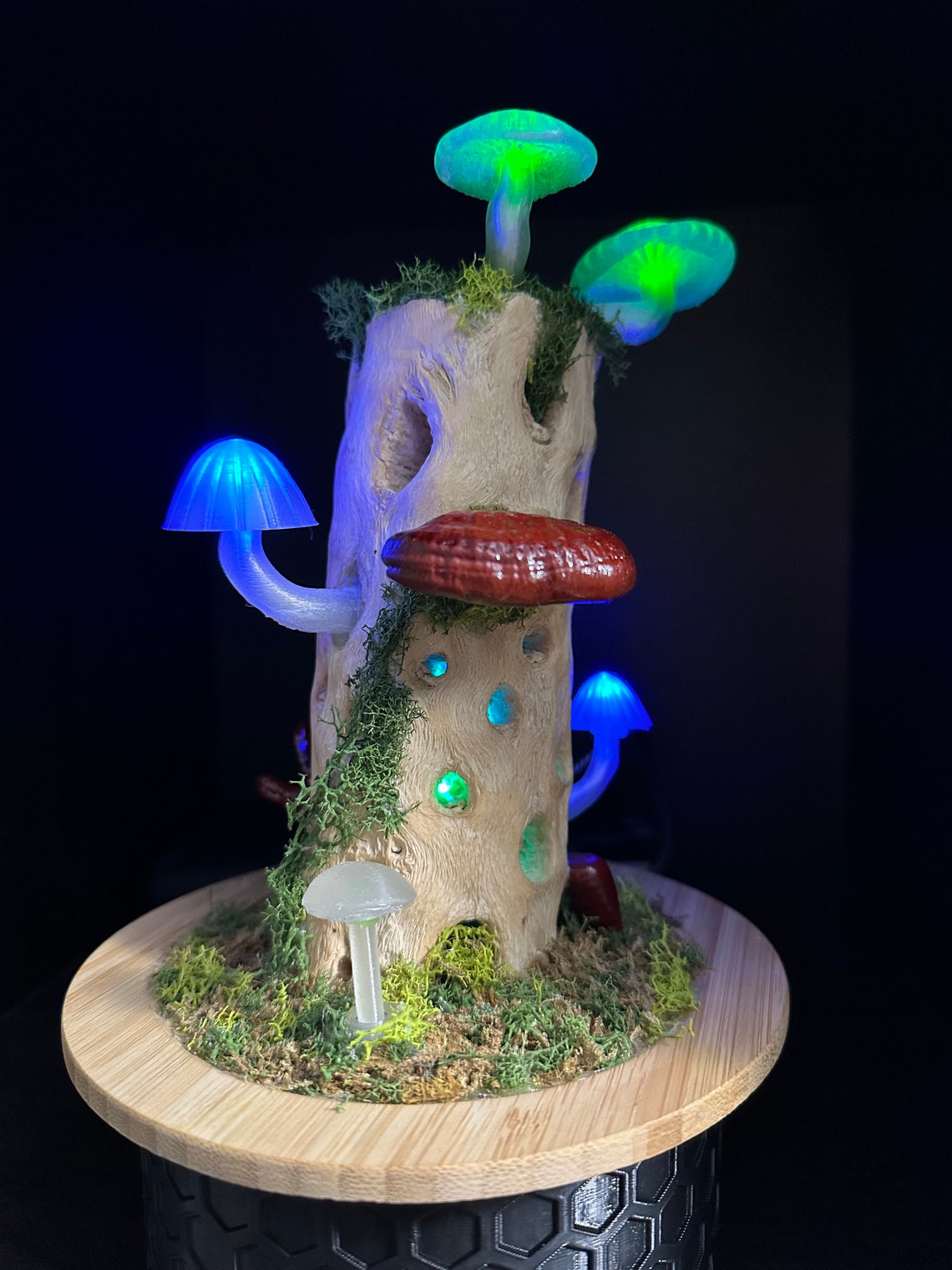 Glowing Blue/green Mushrooms Real Reishi Real Moss Cholla Wood - Etsy