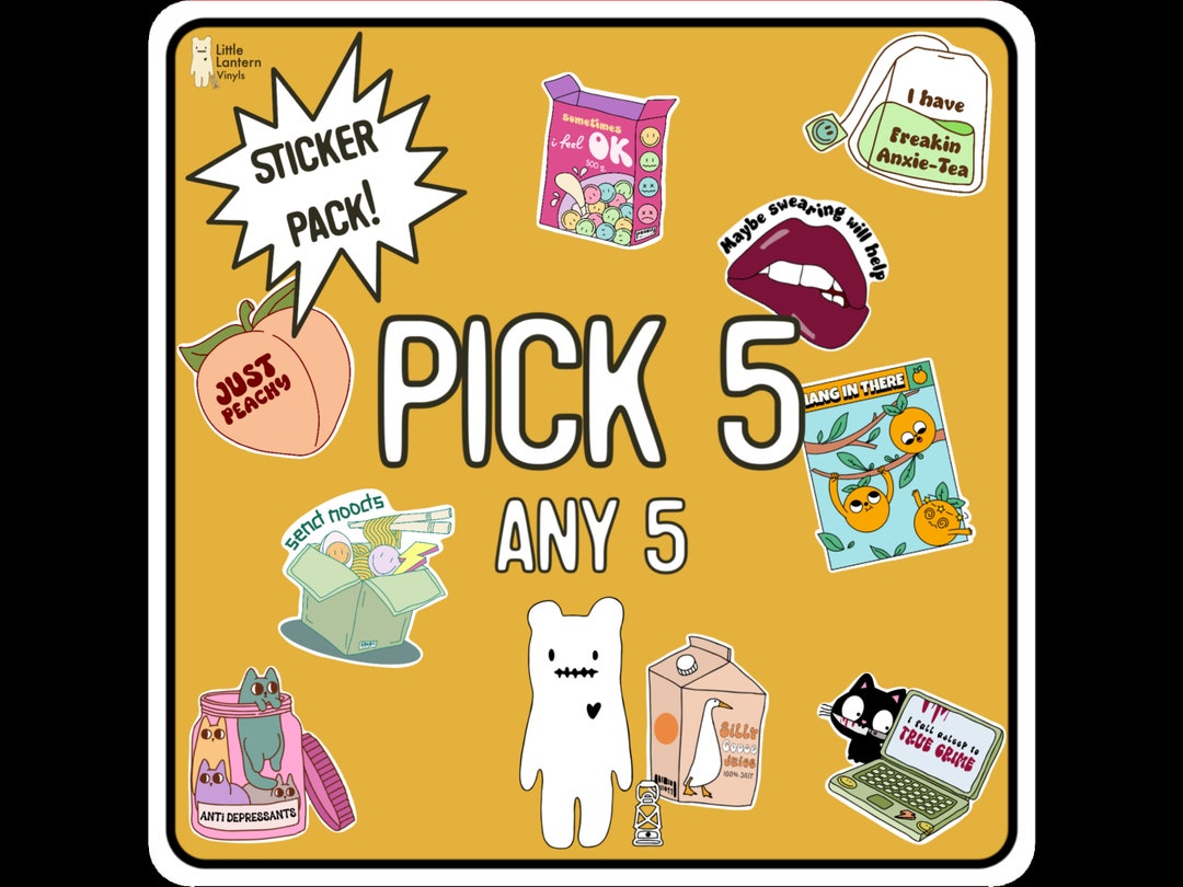 5 Pack Sticker Bundle for Water Bottle Sticker for Laptop Funny Vinyl ...