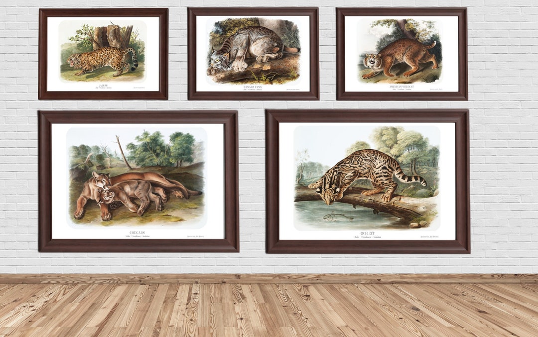 Set of Five Popular Cat Prints | Vintage Cats | Printable Wall Art ...