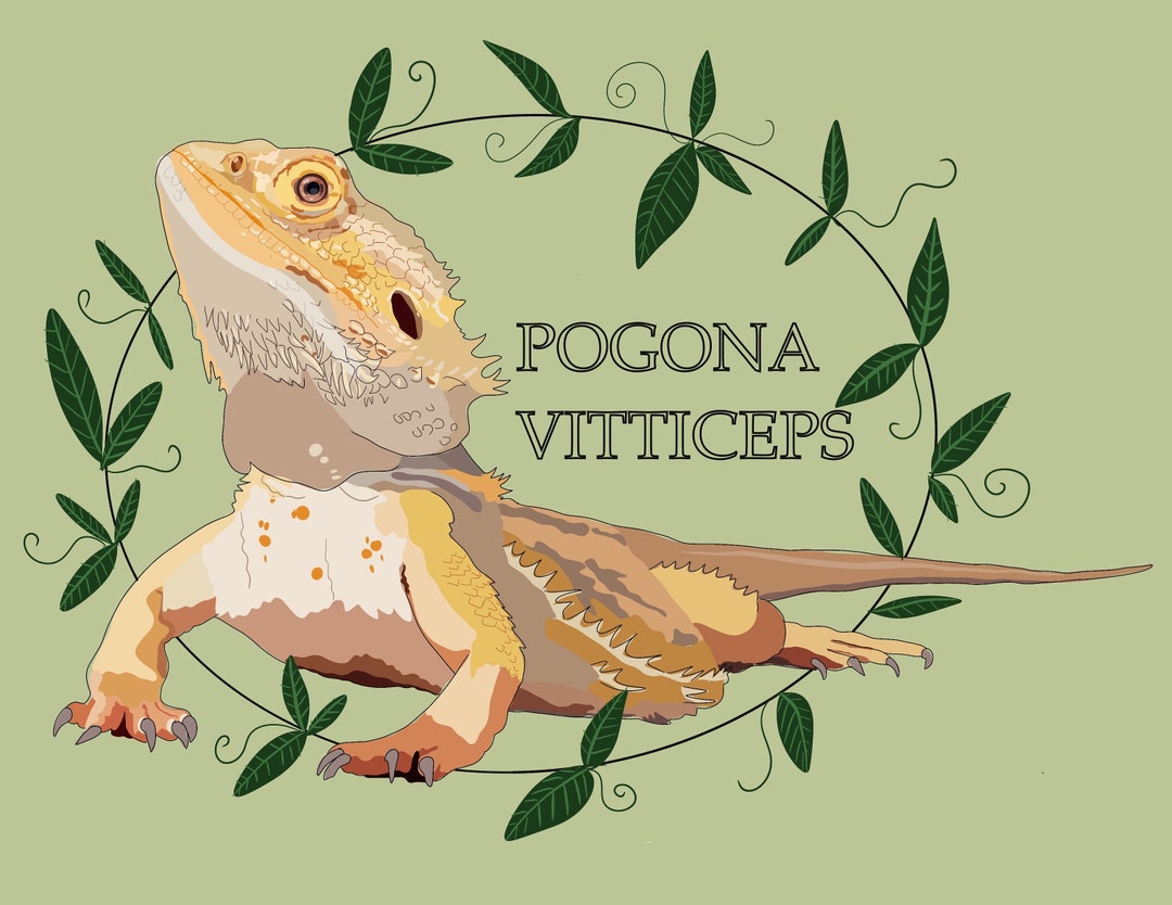 Bearded Dragon, Pogona Viticeps, Scientific Animal Name Art Print ...