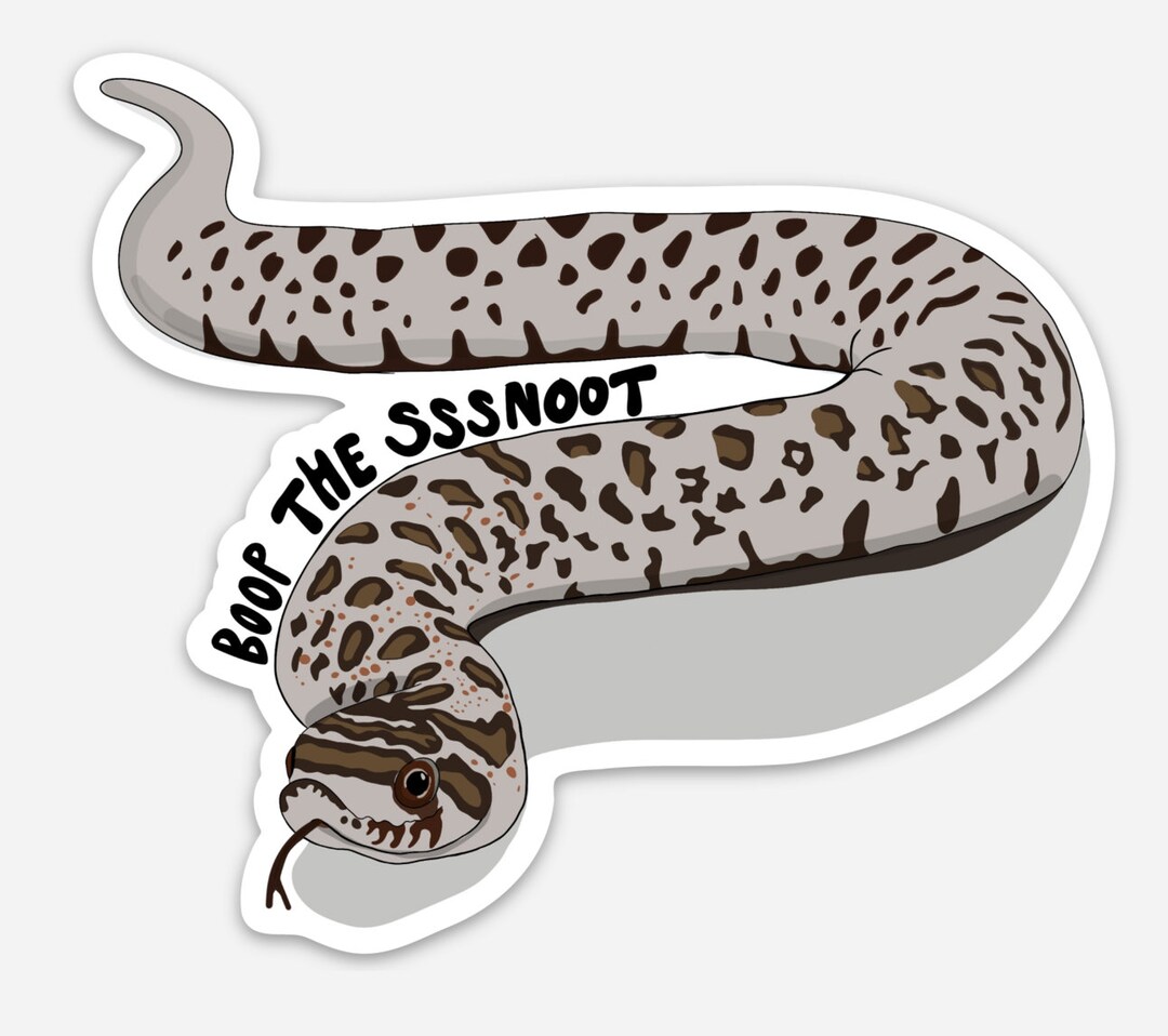 Boop the Snoot, Hognose Snake, Snake Sticker, Cute Snake, Reptile Art ...