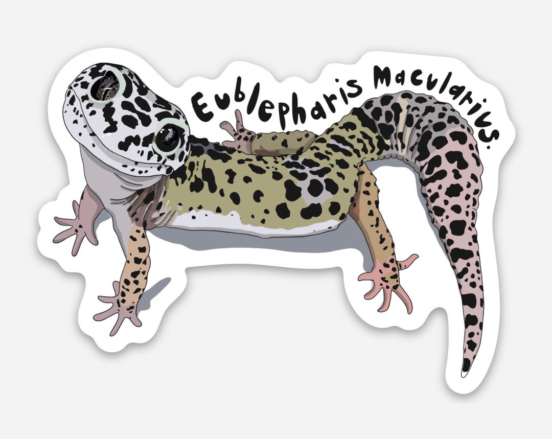 Leopard Gecko Sticker, Cute Lizard Sticker, Reptile Art - Etsy