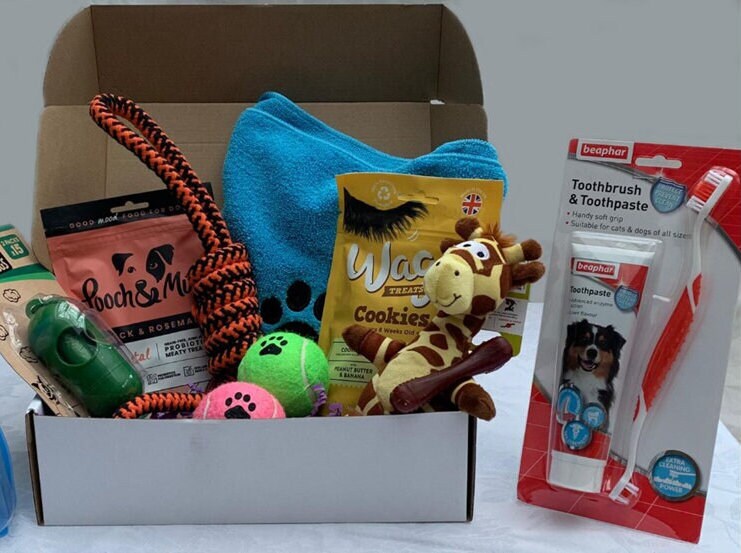 Dog Gift Box Dog Toys Dog Treats Dog Birthday Gift - Etsy.de