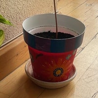 Hand-painted Bluey Terracotta Planter - 4 Inch Art Pottery - Etsy