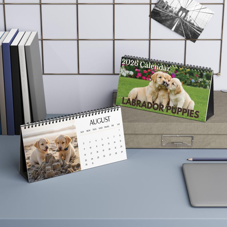 2026 Labrador Puppy Desk Calendar Cute Puppy Desktop Calendar Dog Lover ...
