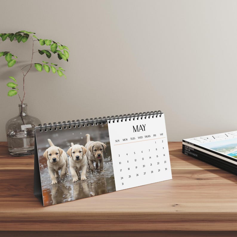 2026 Labrador Puppy Desk Calendar Cute Puppy Desktop Calendar Dog Lover ...