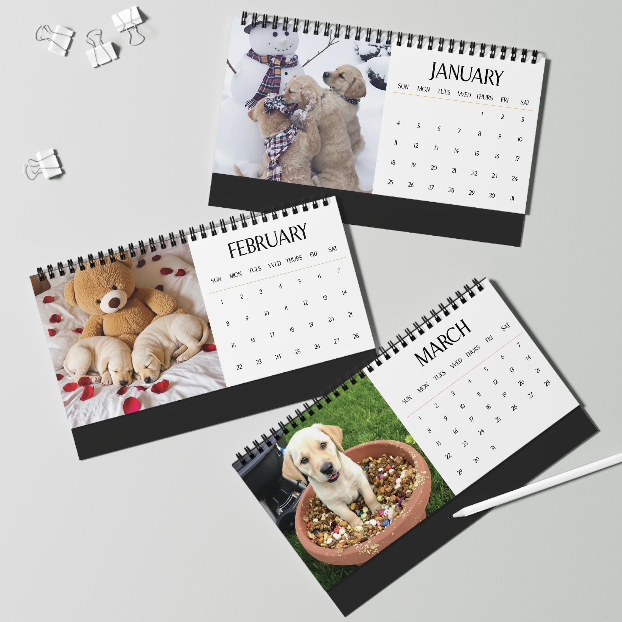 2026 Labrador Puppy Desk Calendar Cute Puppy Desktop Calendar Dog Lover ...