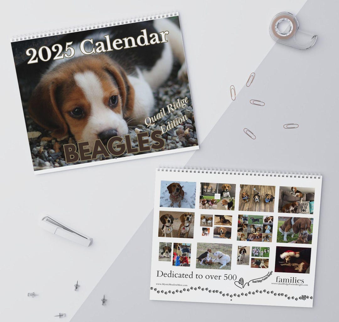 2025 Wall Calendar Quail Ridge Pocket Beagles, Beagle Lovers Calendar ...