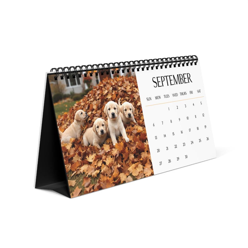 2026 Labrador Puppy Desk Calendar Cute Puppy Desktop Calendar Dog Lover ...