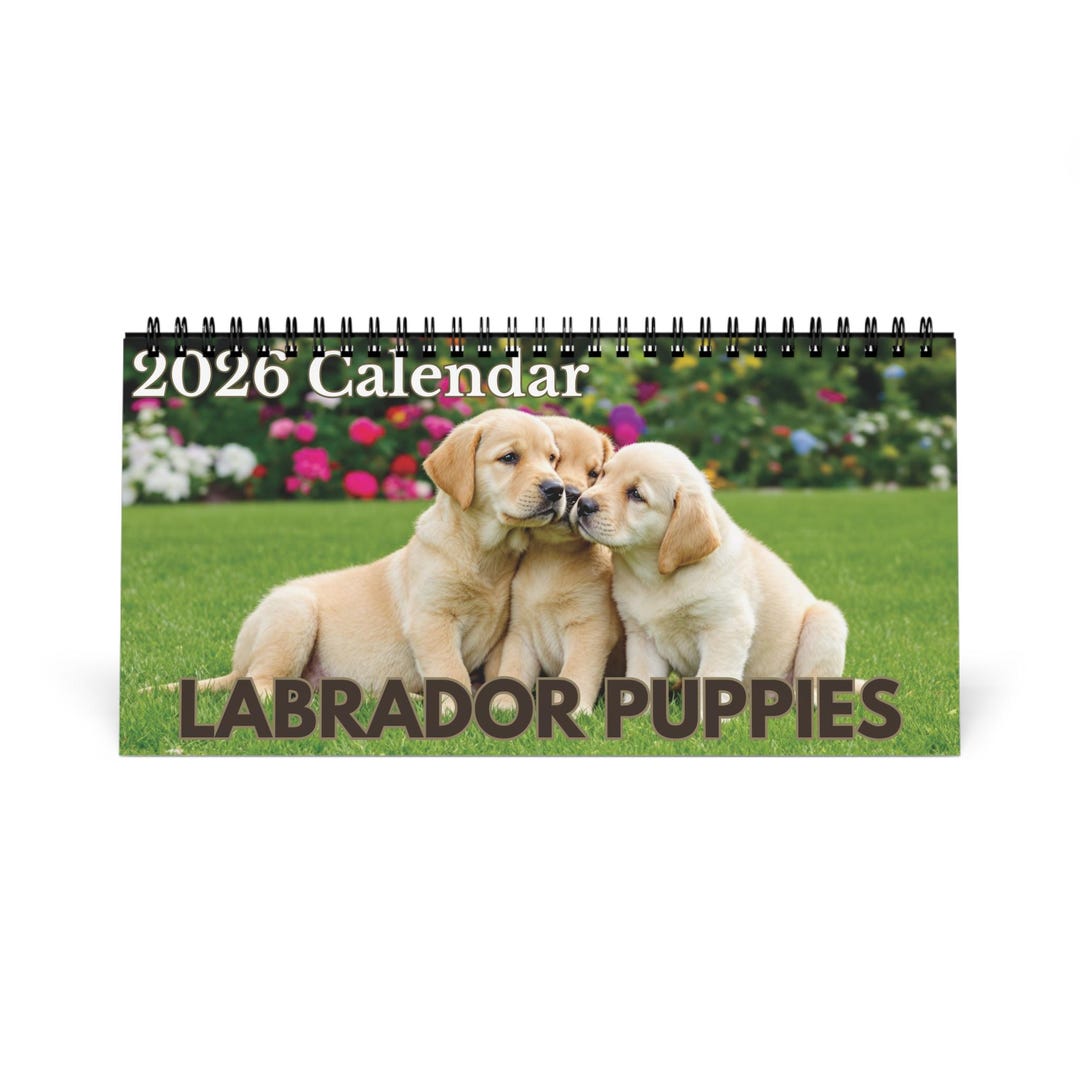 2026 Labrador Puppy Desk Calendar Cute Puppy Desktop Calendar Dog Lover ...
