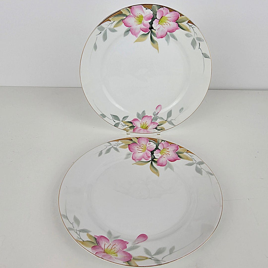 Vintage Noritake 19322 Azalea Set of 2 Dinner Plates - Green Mark - Etsy
