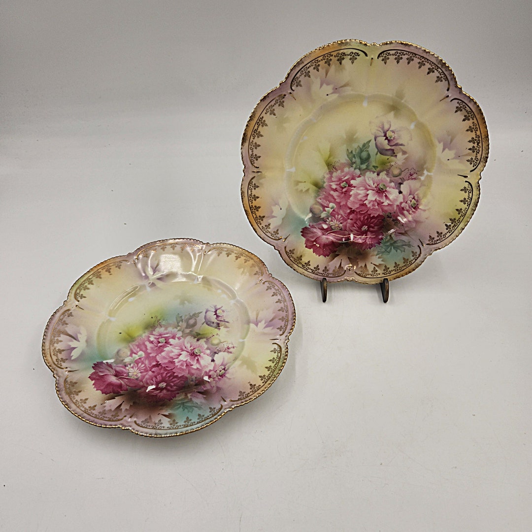 Vintage Turn of the Century Pair of R S Prussia Plates Peonies - Etsy