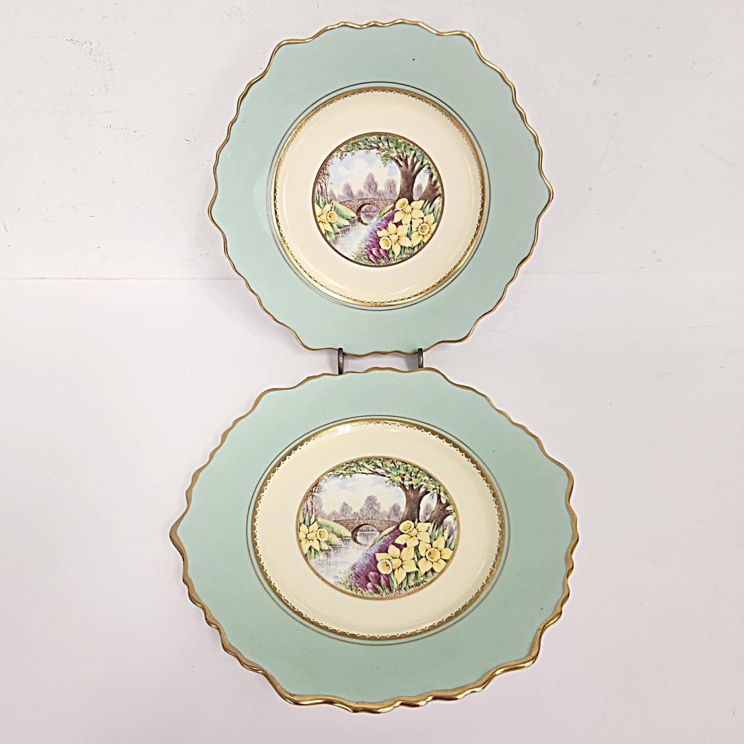 Vintage Pair of Royal Stafford English Bone China Daffodil Plates - Etsy