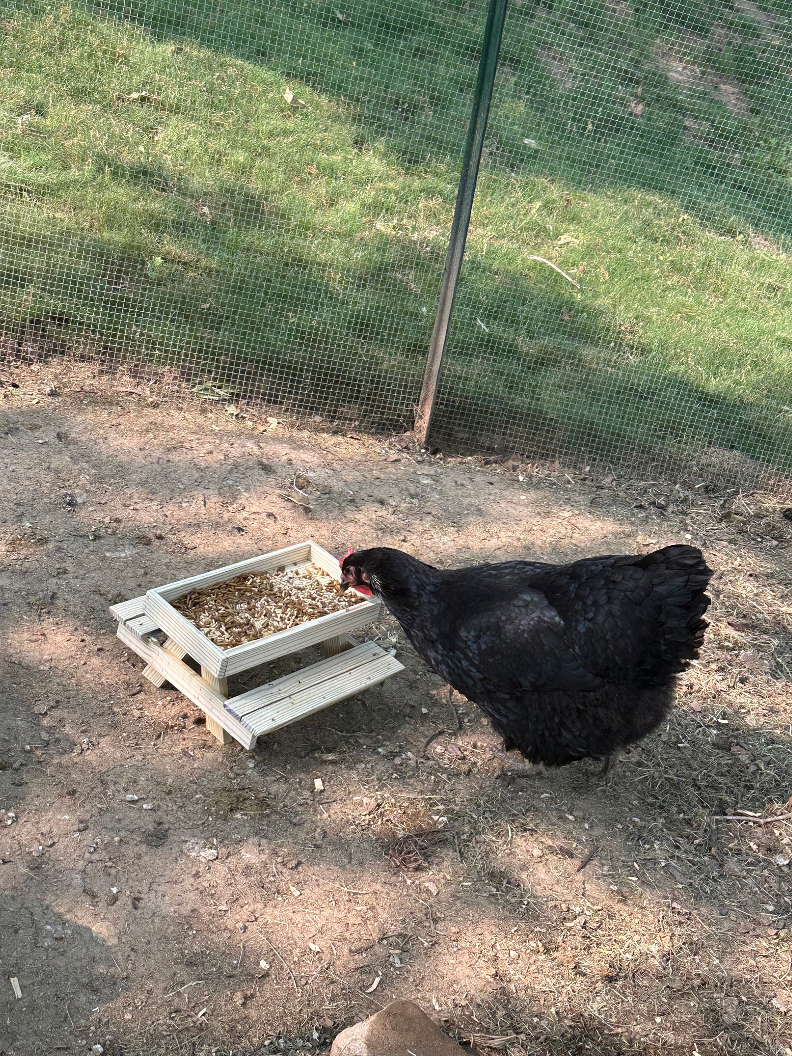 Chicken Picnic Table, Chicknic Table, Bird/squirrel Feeder - Etsy