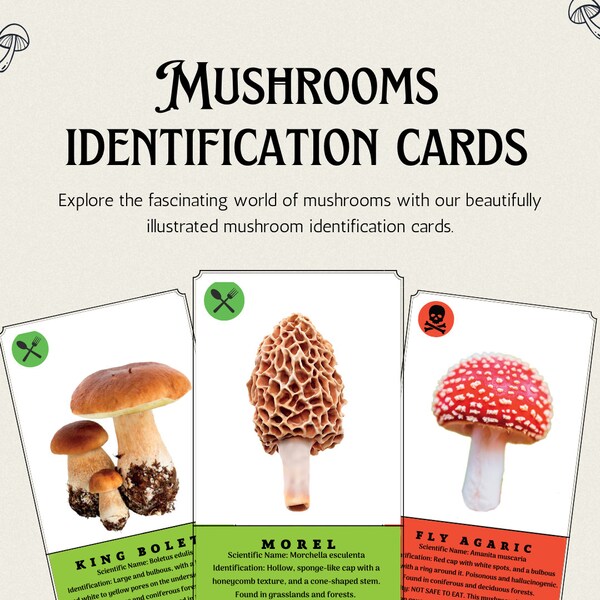 Mushroom Identification Cards - Etsy Australia