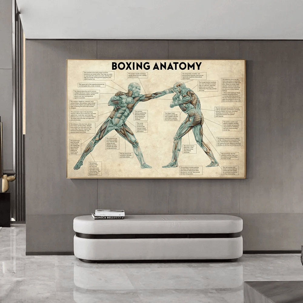 Anatomical Boxing: Muscles in Combat - Vintage Poster, Boxing, Fighter ...