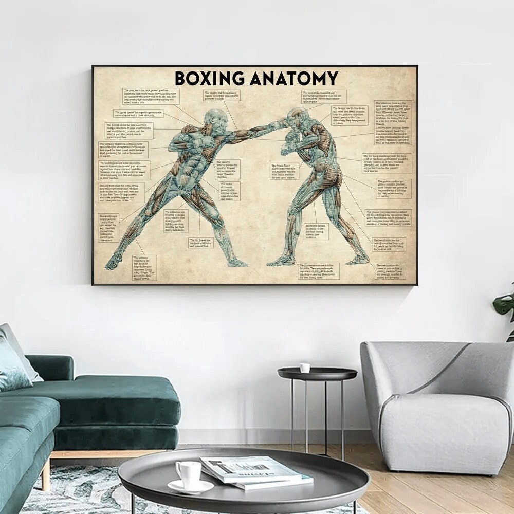 Anatomical Boxing: Muscles in Combat - Vintage Poster, Boxing, Fighter ...