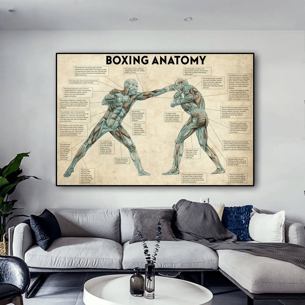 Anatomical Boxing: Muscles in Combat - Vintage Poster, Boxing, Fighter ...