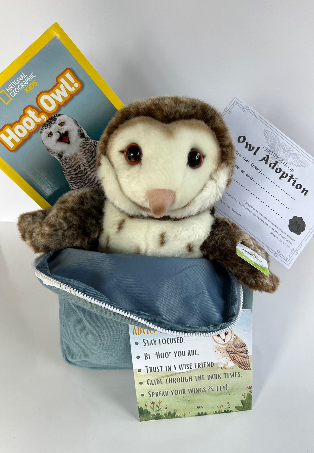 Barn Owl Adoption Kit - Etsy