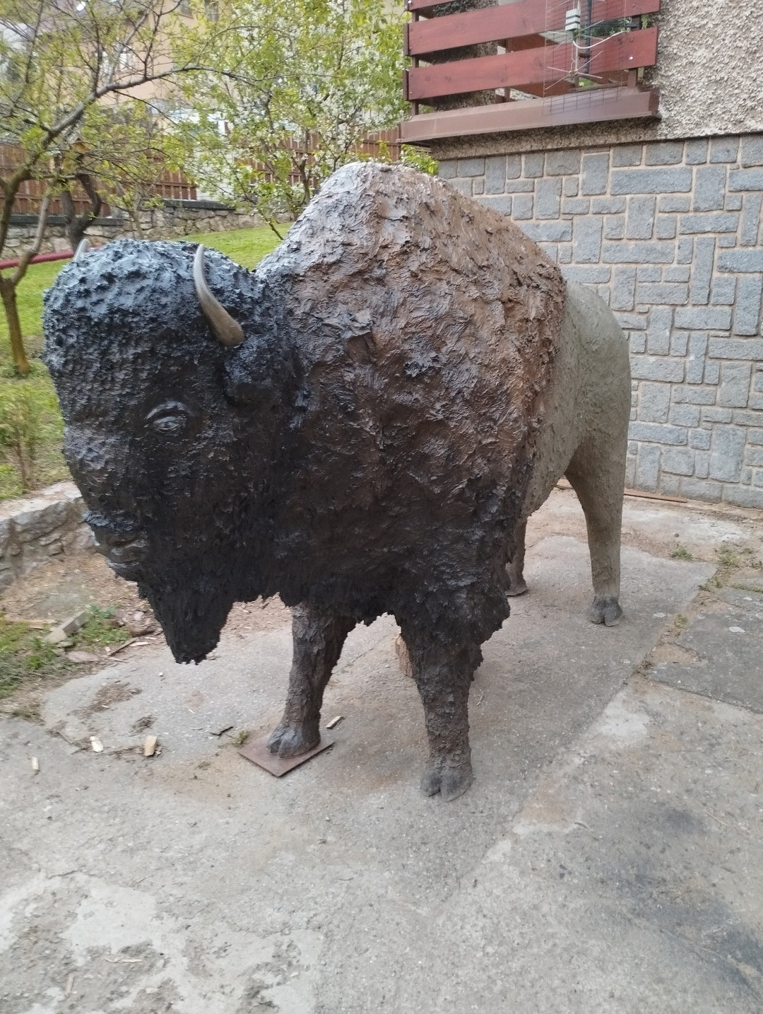 BUFFALO LIFE SIZE ! the Only One in the World - Etsy