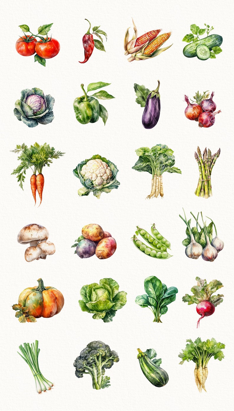 Vegetables Watercolor Clipart Veggies Collection Culinary - Etsy