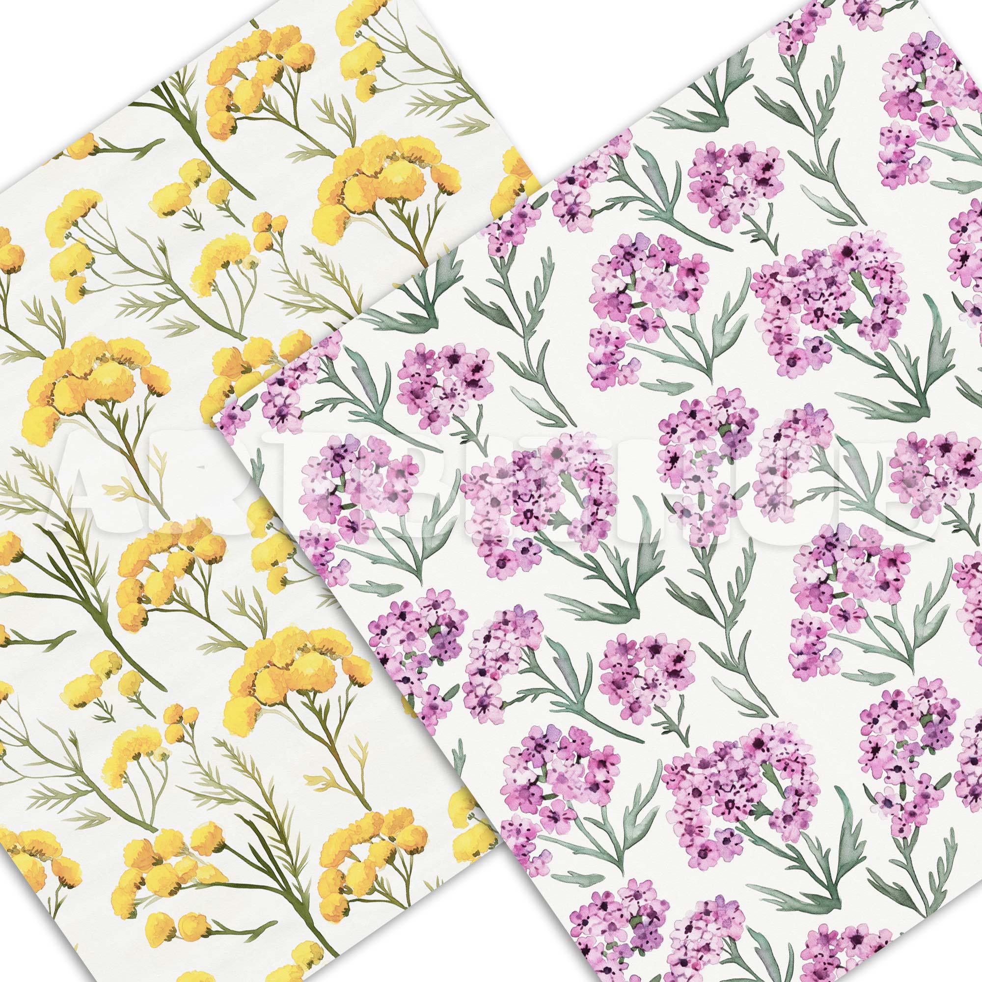 Common Yarrow Watercolor Seamless Pattern | Floral & Greenery JPG ...