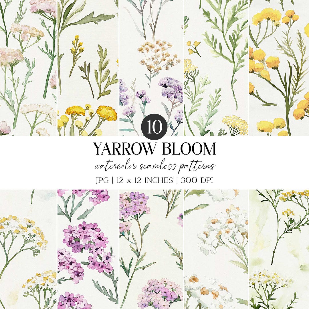 Common Yarrow Watercolor Seamless Pattern | Floral & Greenery JPG ...