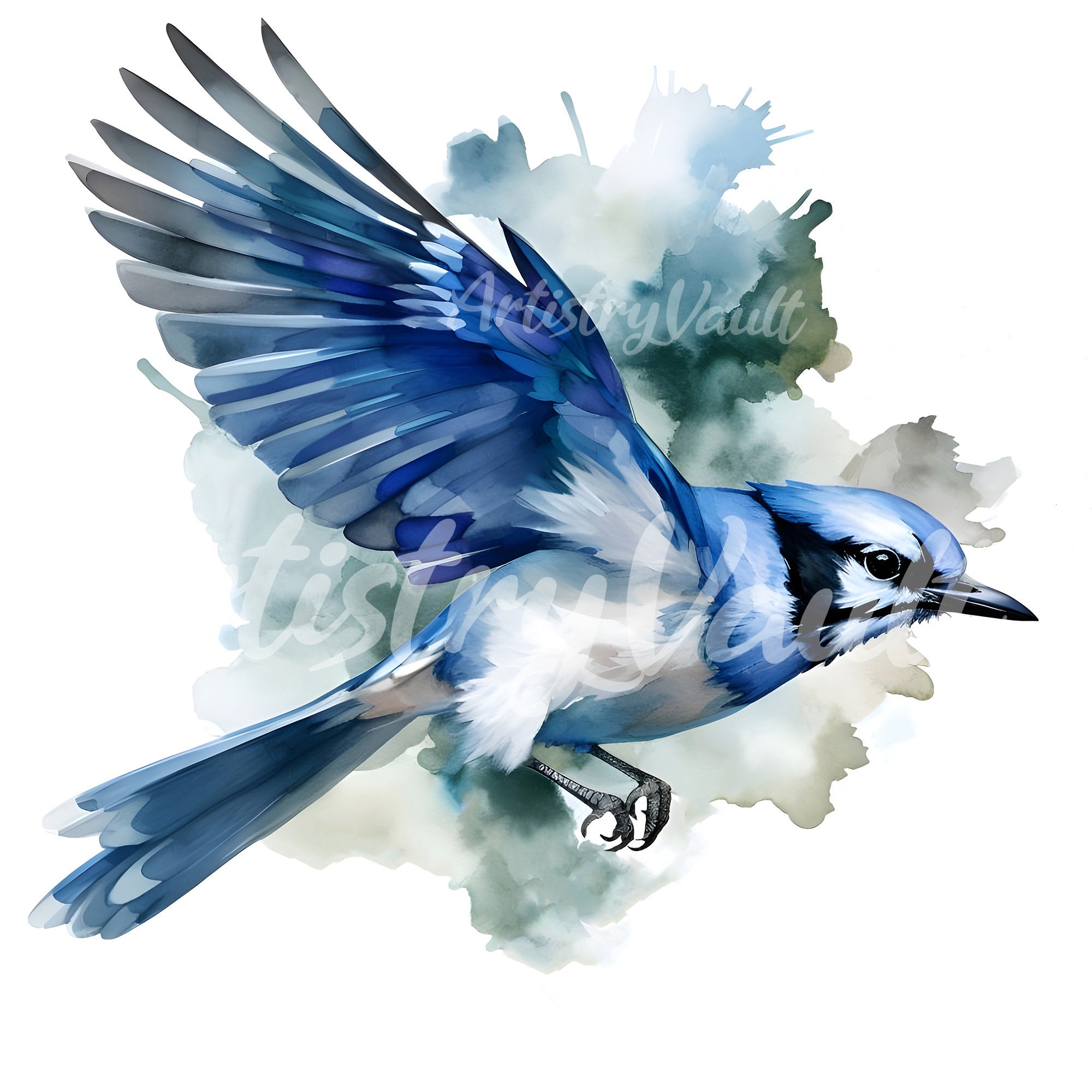 Blue Jay Watercolor Clipart Woodland Bird JPG Set DIY - Etsy