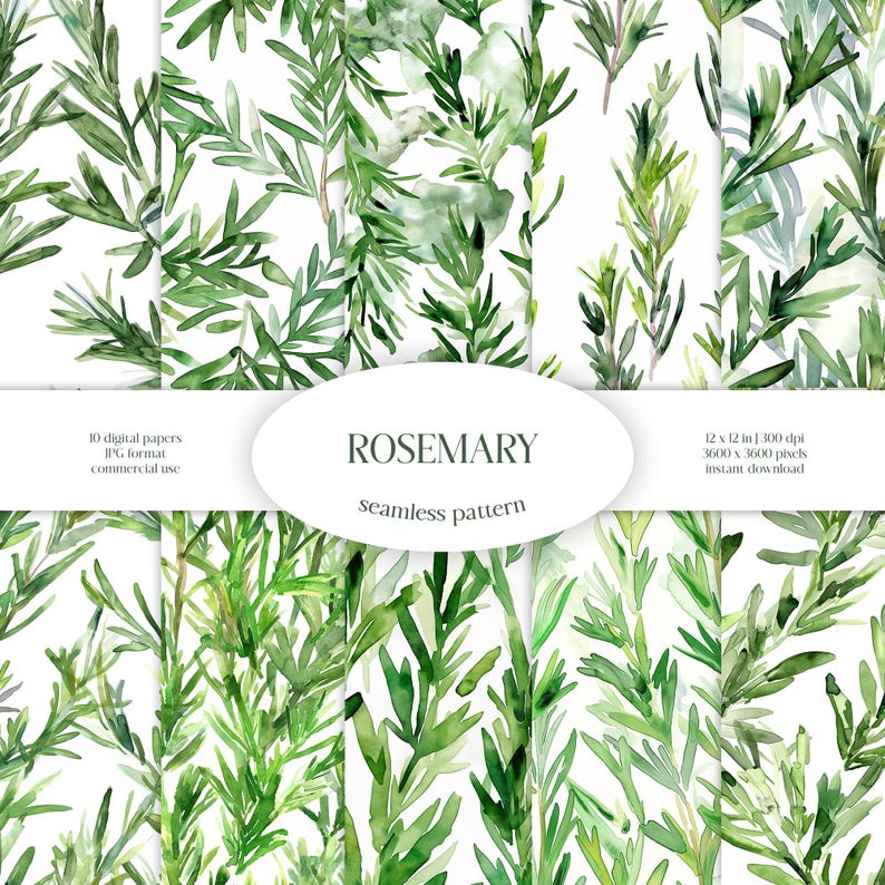 Rosemary Watercolor Seamless Pattern | Greenery & Floral JPG Digital ...